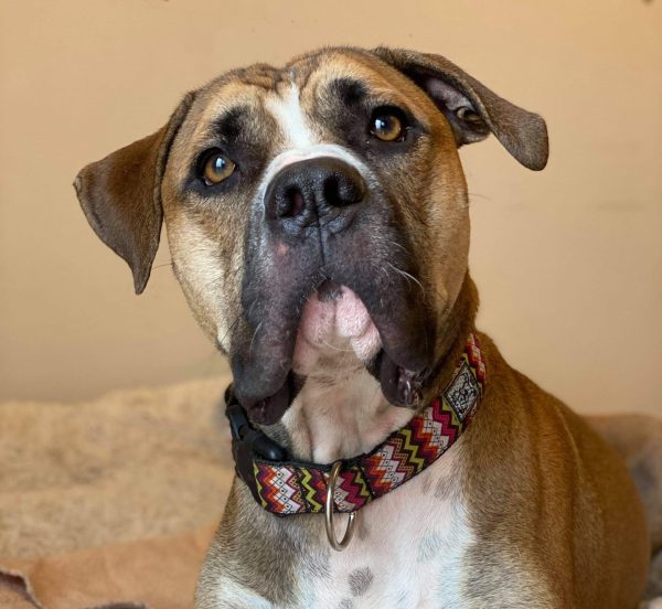 Home – Sit With Me