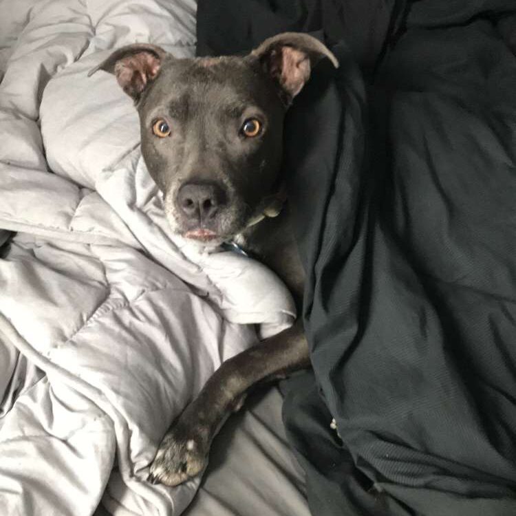 Zera – Sit With Me