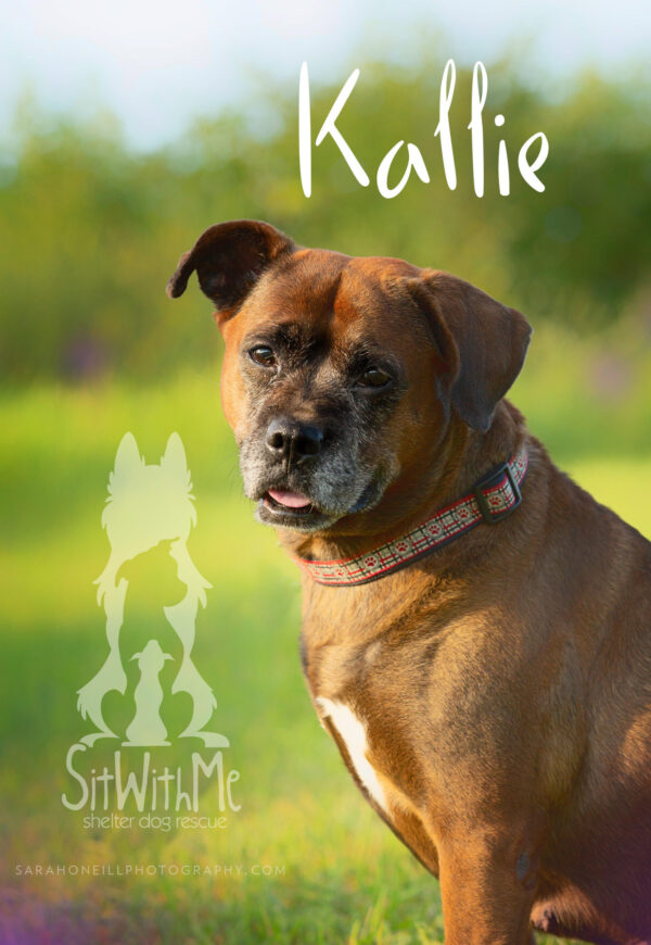 Home – Sit With Me