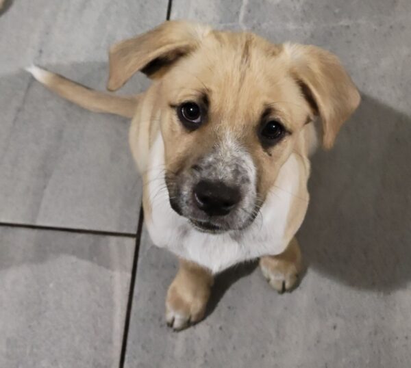 Home – Sit With Me