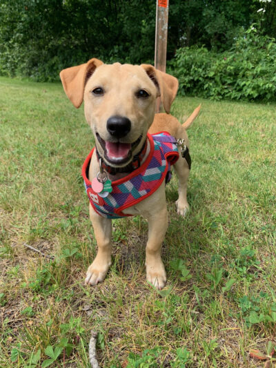 Home – Sit With Me