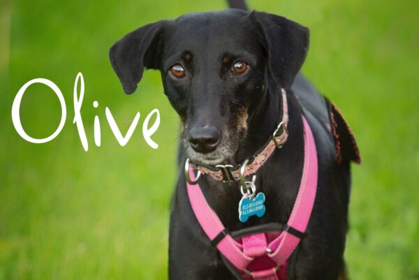 Home – Sit With Me