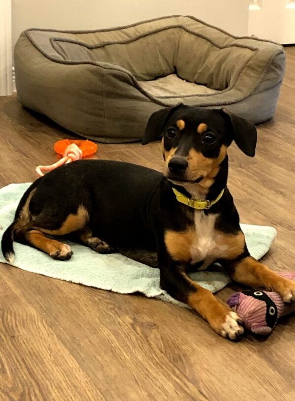 Home – Sit With Me