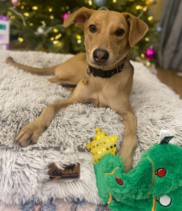 Miss Chloe – Sit With Me