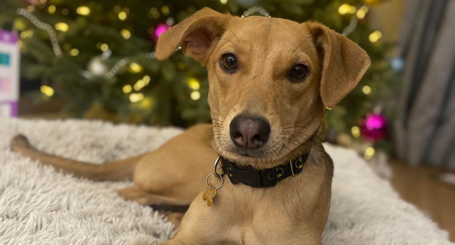 Miss Chloe – Sit With Me