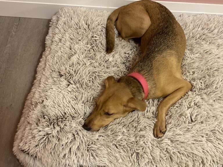 Miss Chloe – Sit With Me