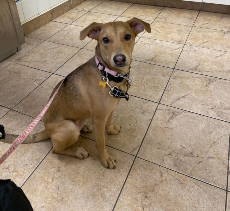 Miss Chloe – Sit With Me