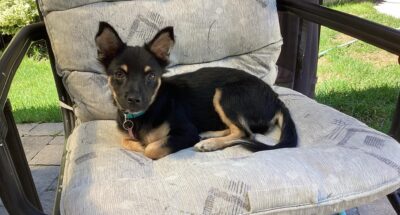 Home – Sit With Me