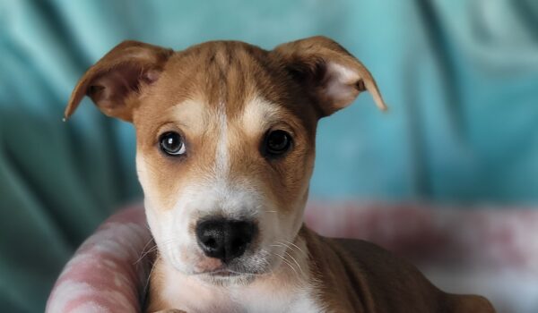 Home – Sit With Me