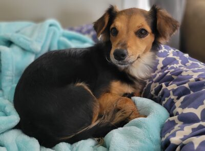 Home – Sit With Me