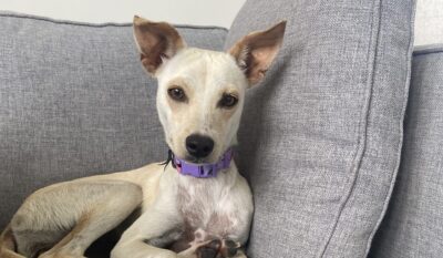 Home – Sit With Me